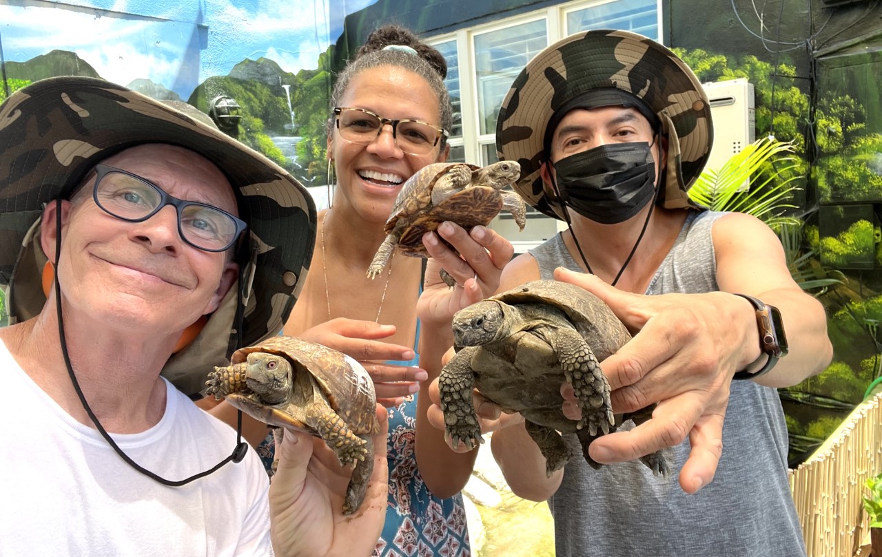 About – TortoiseLand