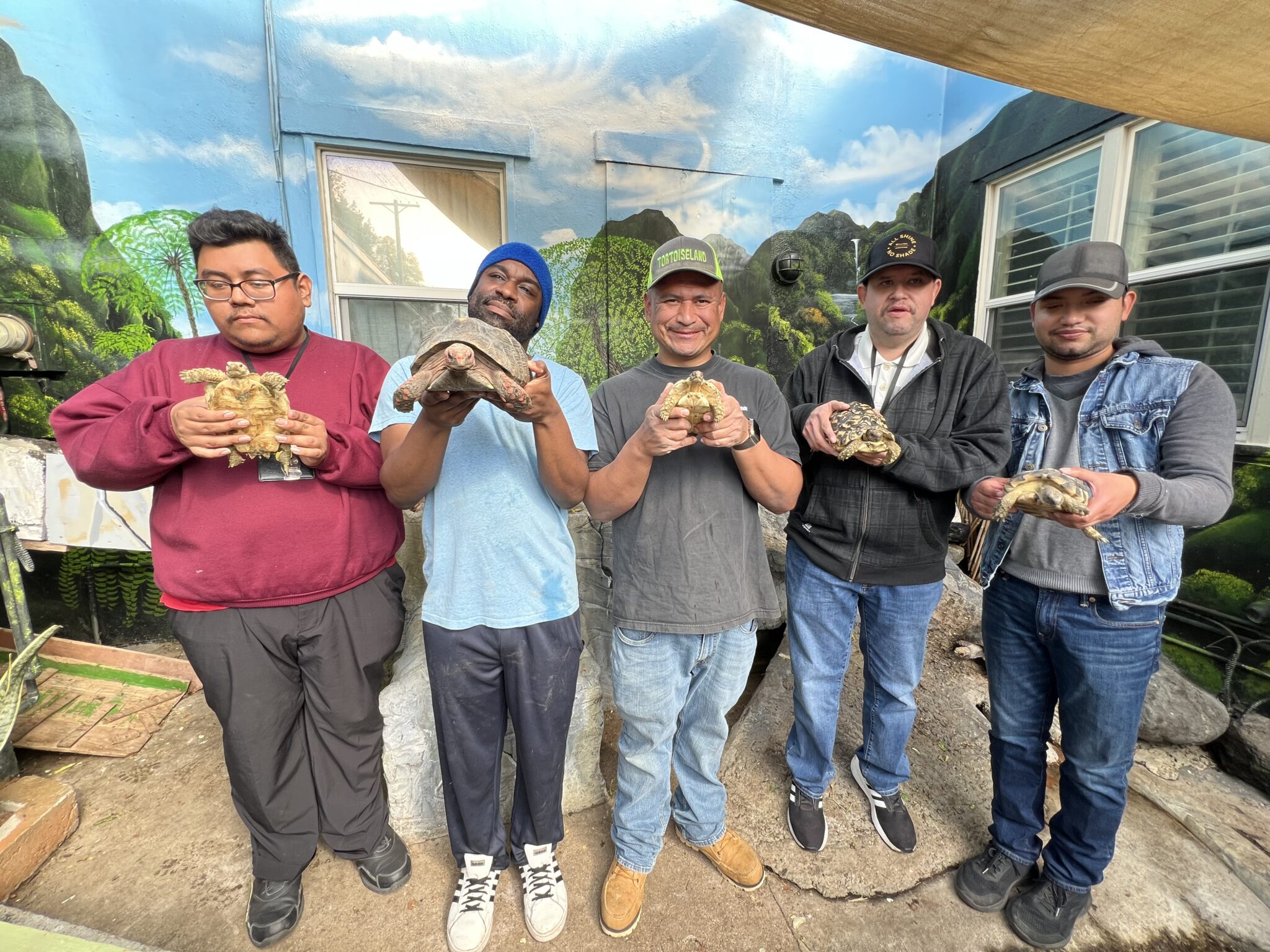 TortoiseLand – TortoiseLand is a Nonprofit 501 (c)(3) organization ...