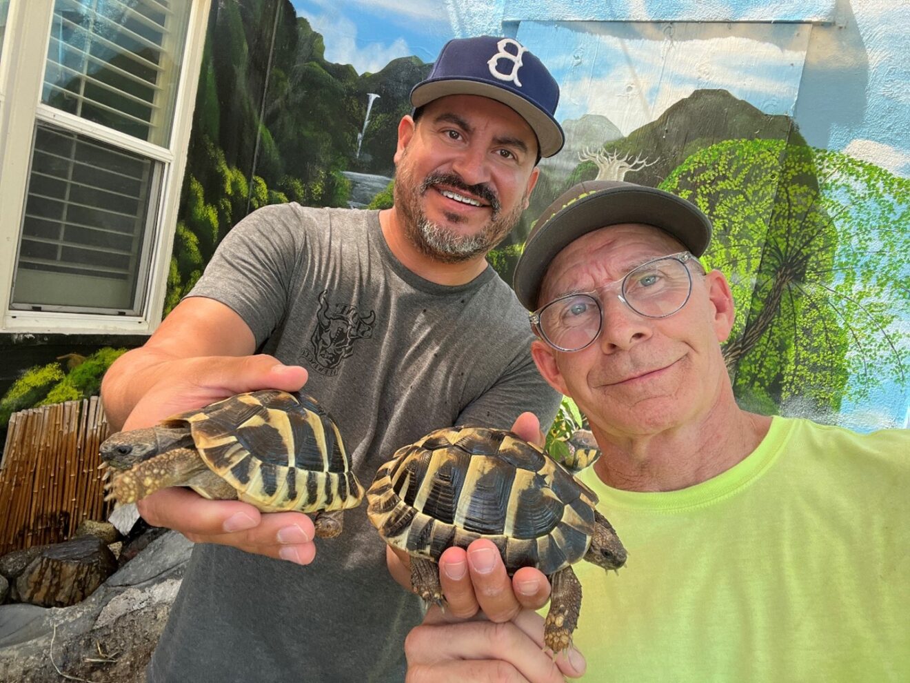 TortoiseLand – TortoiseLand is a Nonprofit 501 (c)(3) organization ...